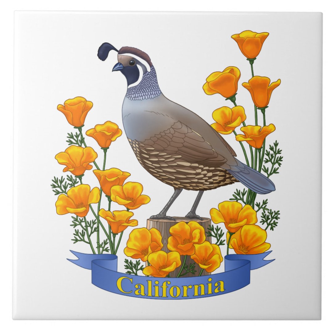 California State Bird Quail & Golden Poppy Tile | Zazzle