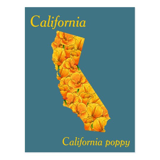 California State Flower Collage Map Postcard | Zazzle.com