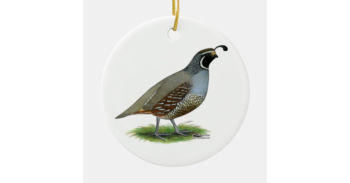 California Valley Quail Ceramic Ornament | Zazzle