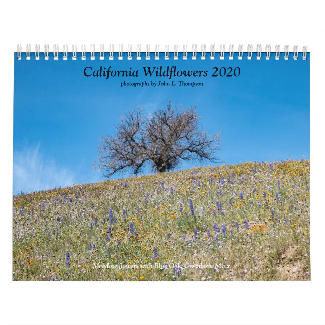 California Wildflowers 2020 Calendar | Zazzle