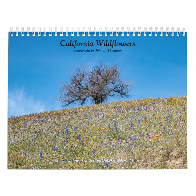 California Wildflowers 2020 Calendar | Zazzle