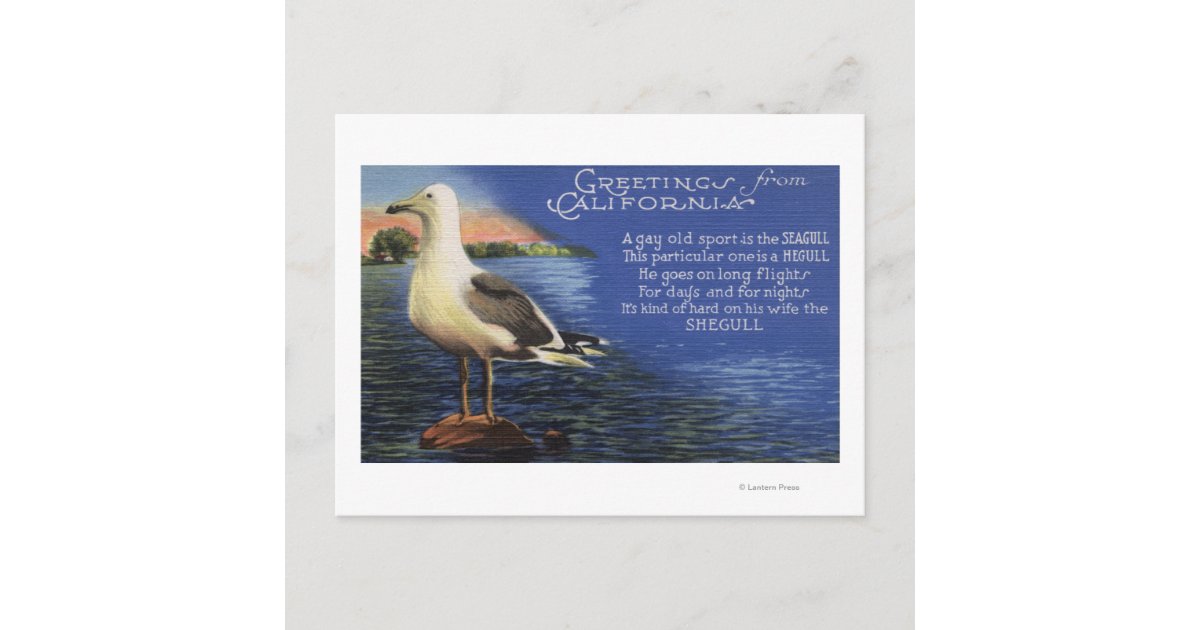 CaliforniaGreetings From, Seagull Poem Postcard | Zazzle