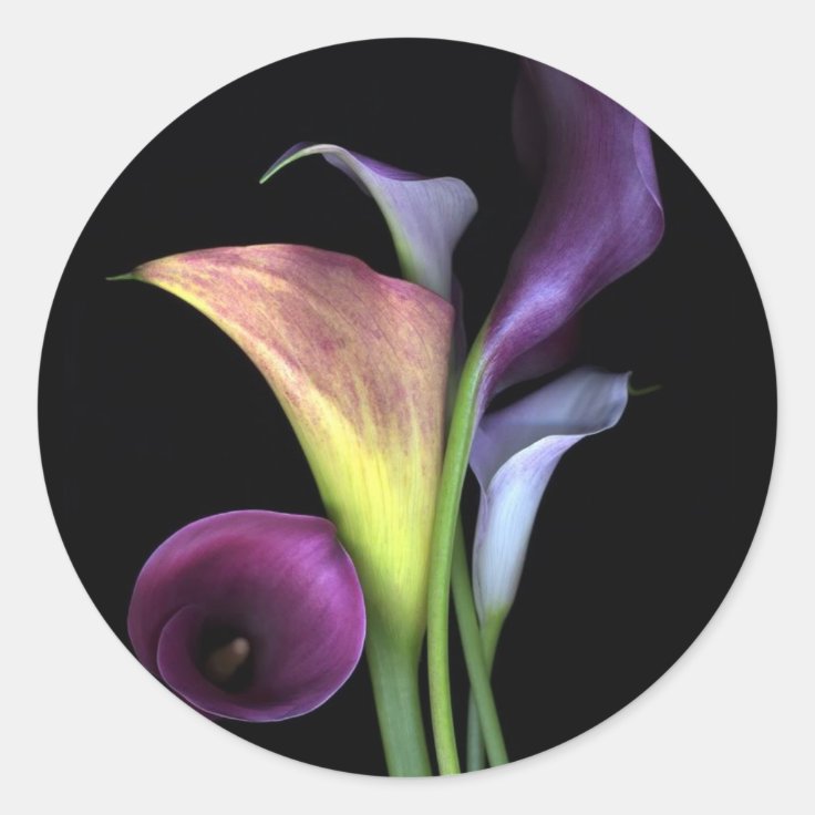 Calla Lilies Stickers | Zazzle