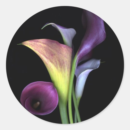 Calla Lilies Stickers | Zazzle.com