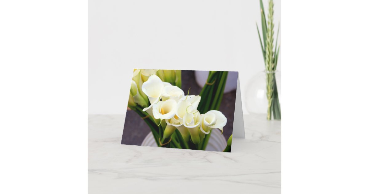 calla lily greeting card | Zazzle