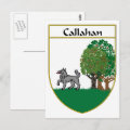 Callahan Coat of Arms/Family Crest Postcard | Zazzle