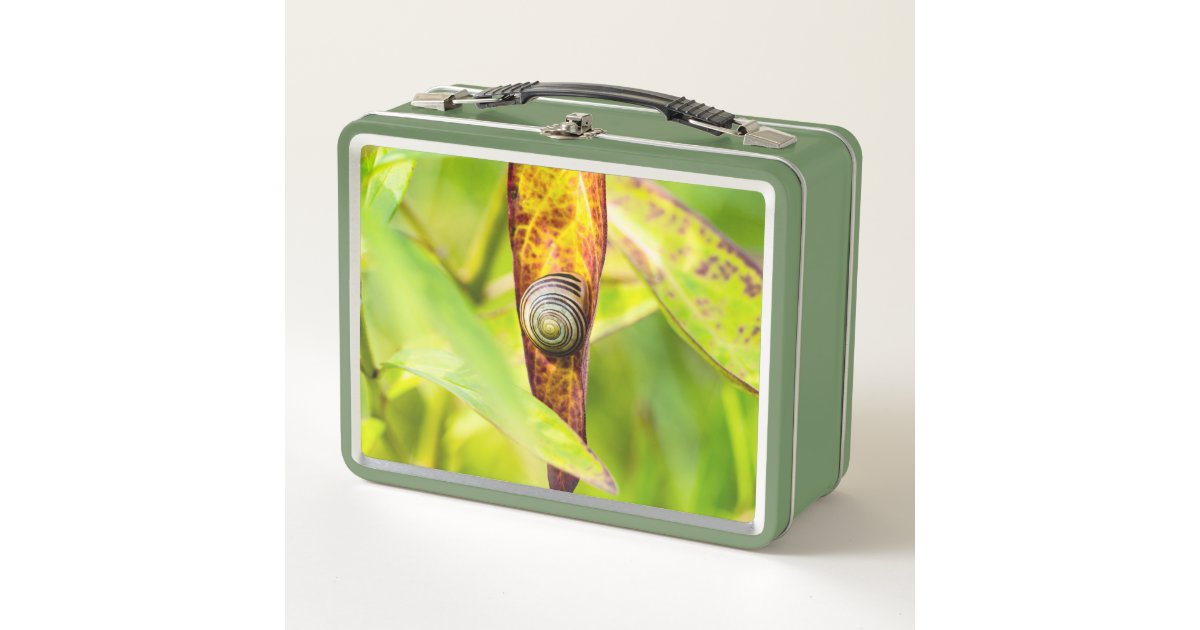 calm attachment metal lunch box | Zazzle