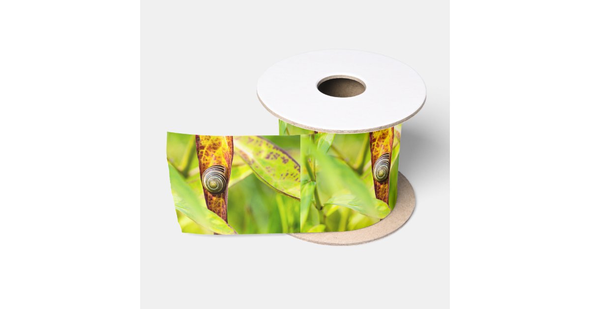 calm attachment satin ribbon | Zazzle
