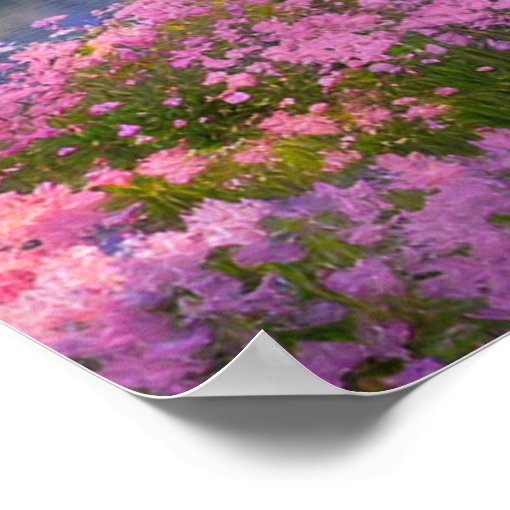 Calm Lake Surrounded by Nature's Delights Poster | Zazzle