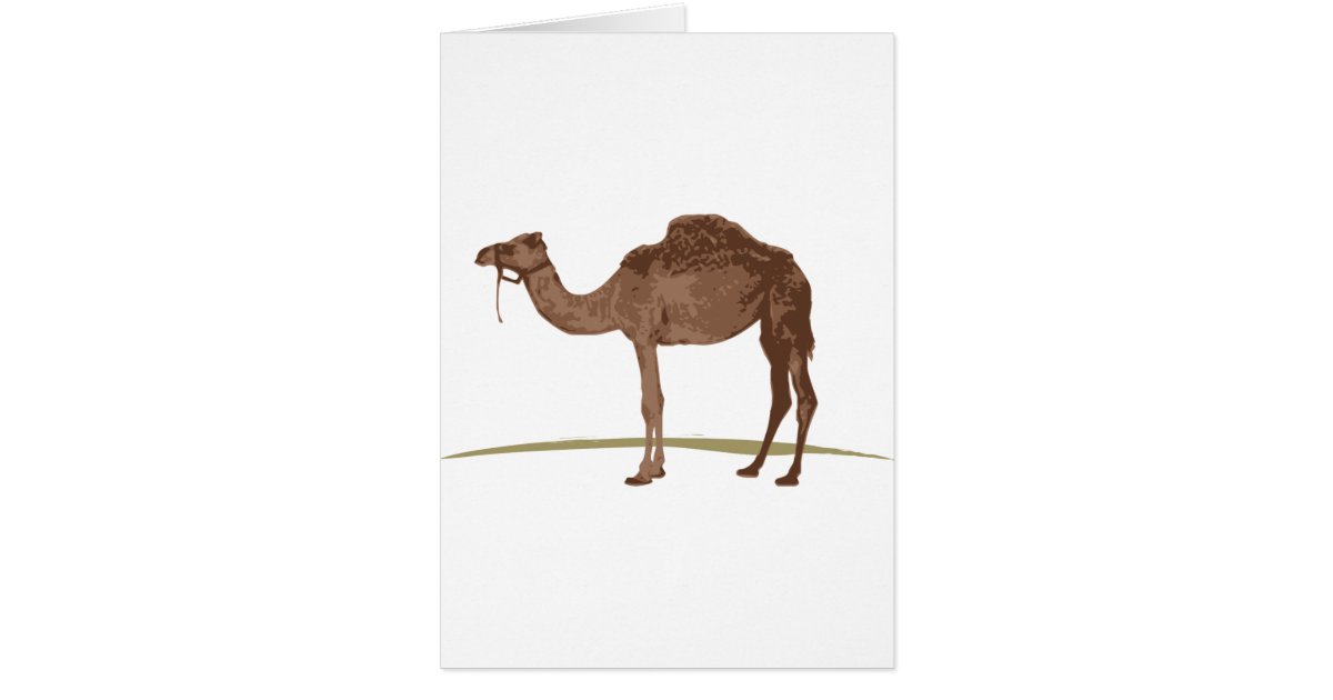 Camel | Zazzle