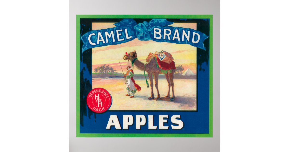 Camel Apple Label - Washington State Poster | Zazzle