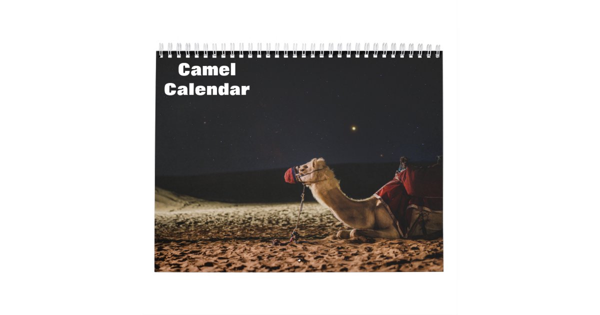 Camel Calendar | Zazzle