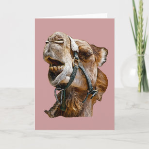 Camel Cards | Zazzle