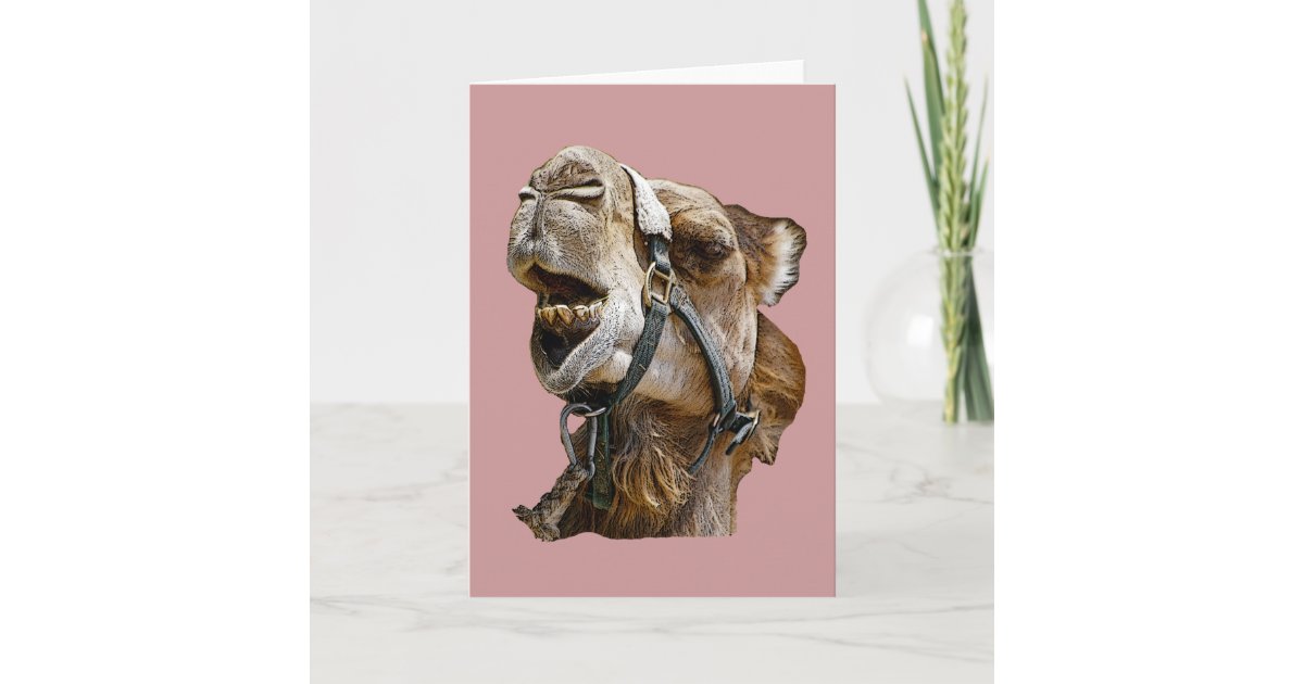 Camel Card | Zazzle