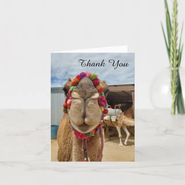 Camel Cuteness Thank You Note Card | Zazzle