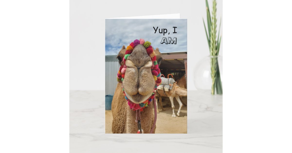 Camel Cuteness Thinking About You Card | Zazzle