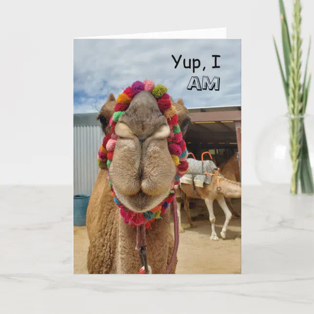 Camel Cuteness Thinking About You Card | Zazzle