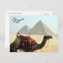camel egypt pyramid postcard | Zazzle