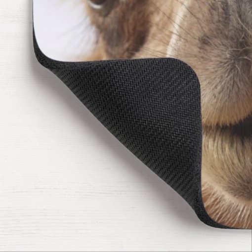 Camel Mouse Pad | Zazzle