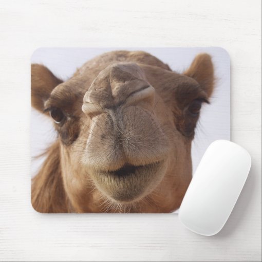 Camel Mouse Pad | Zazzle