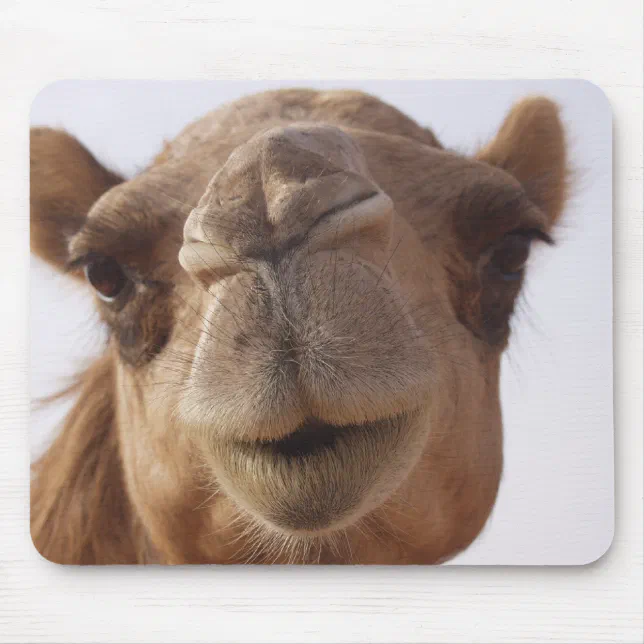 Camel Mouse Pad | Zazzle