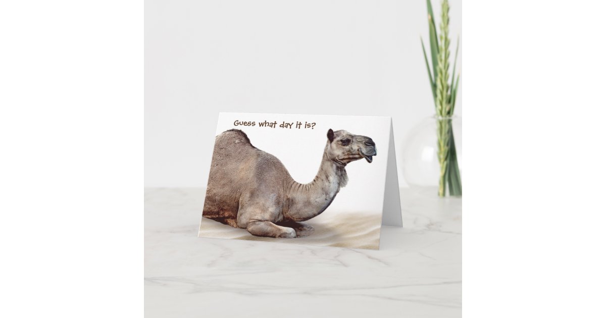 Camel On Sand for Retirement Card | Zazzle
