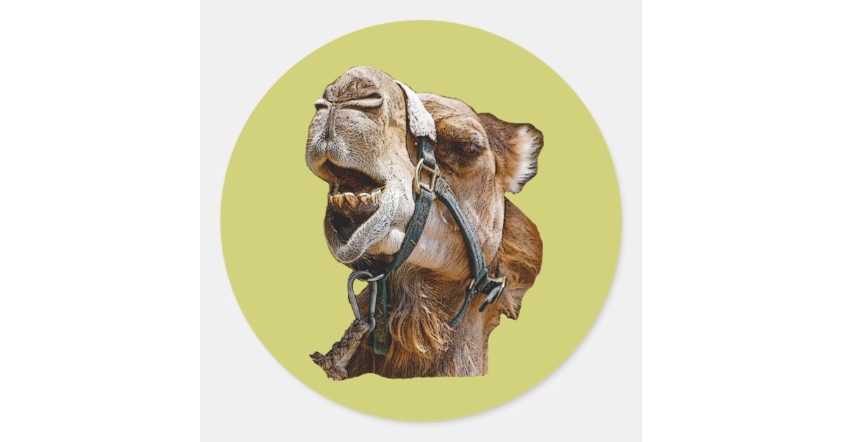 Camel Stickers | Zazzle