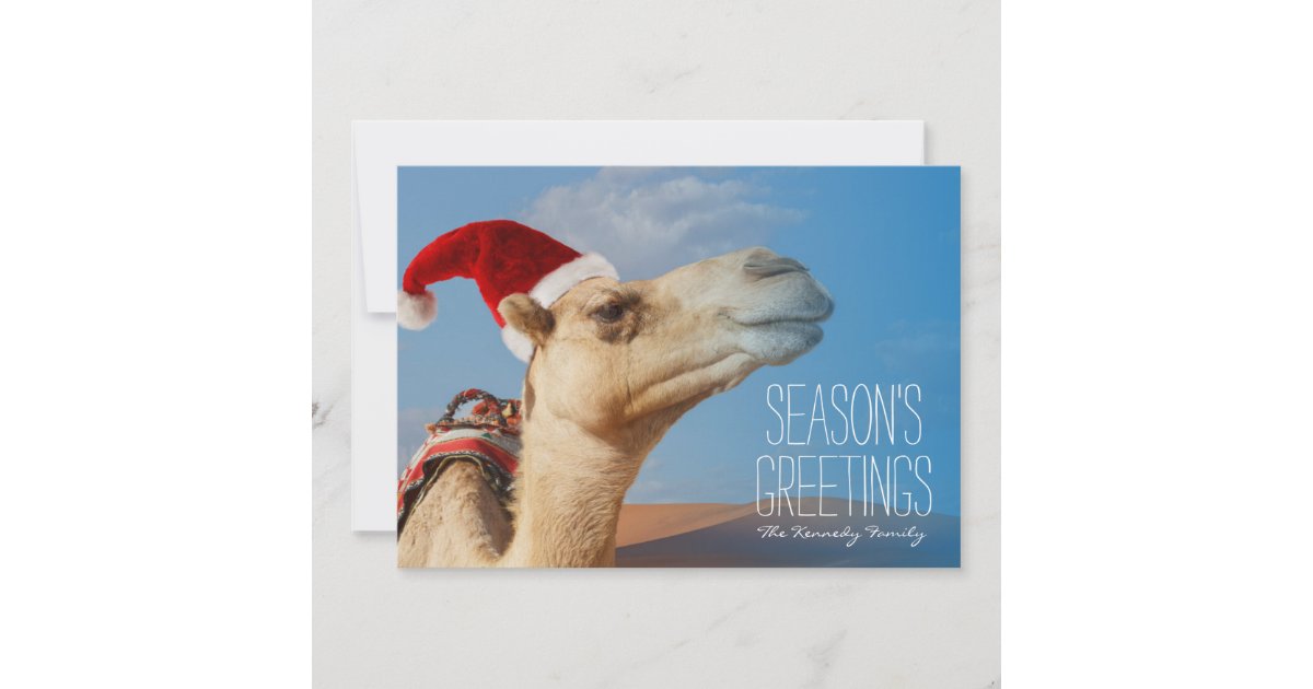 camel with christmas hat holiday card | Zazzle