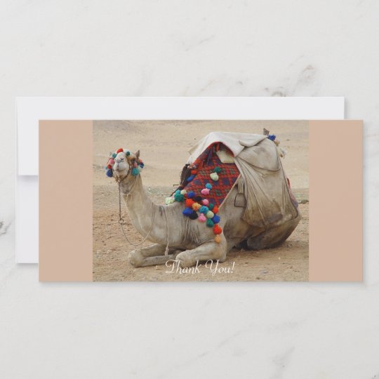 Camel with Colorful Pom-Poms Thank You Card | Zazzle.com
