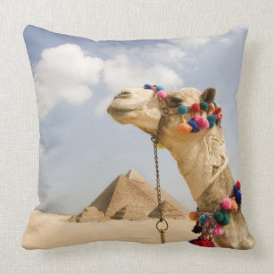 Camel Pillows - Decorative & Throw Pillows | Zazzle