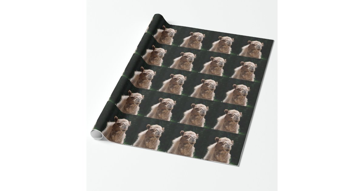 Camel Wrapping Paper | Zazzle