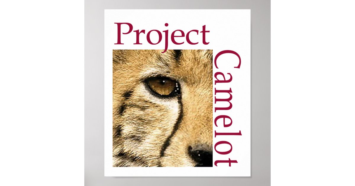 Camelot Logo Poster Project | Zazzle