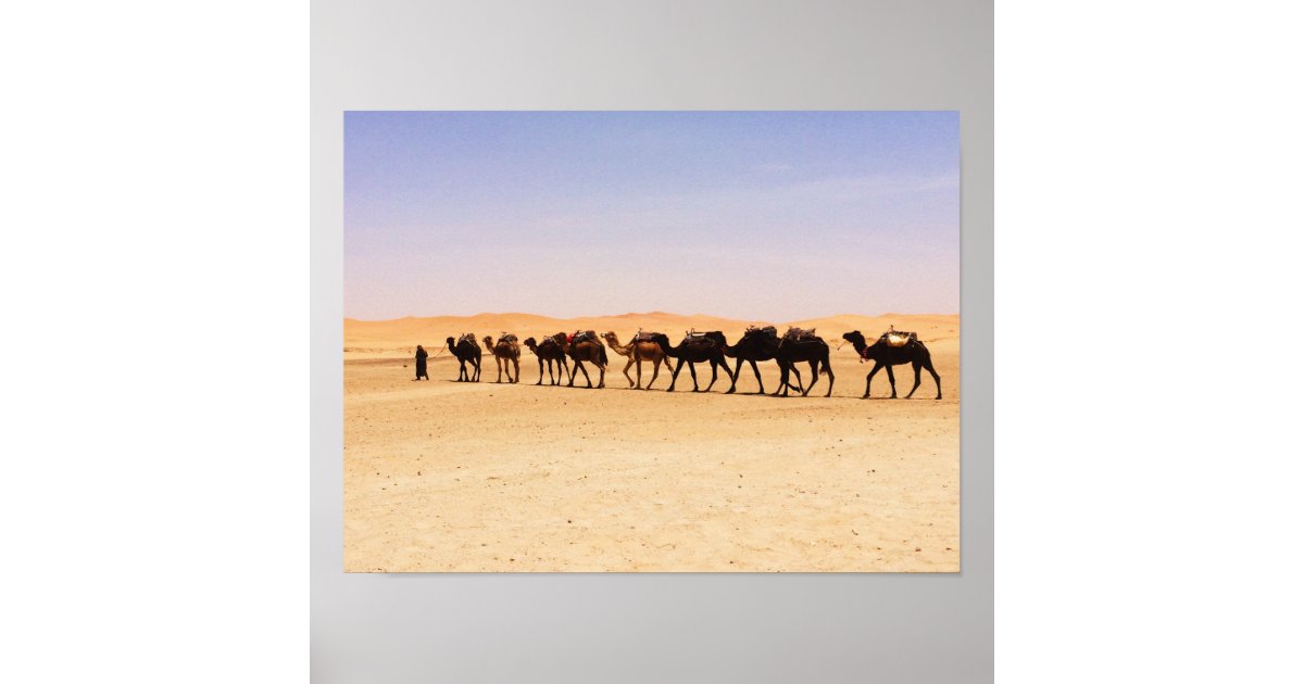 Camels in the desert poster | Zazzle