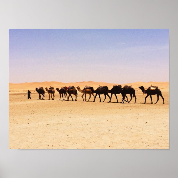 Camels in the desert poster | Zazzle.com