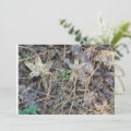 Camo Blank Invitations, Camouflage Invitation | Zazzle