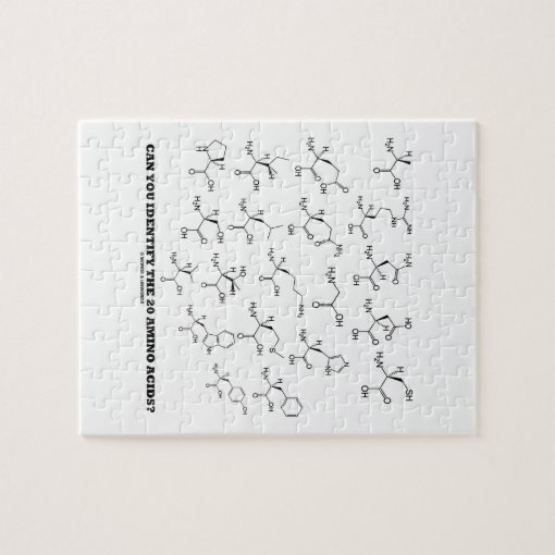 Can You Identify The 20 Amino Acids? (Chemistry) Jigsaw Puzzle | Zazzle