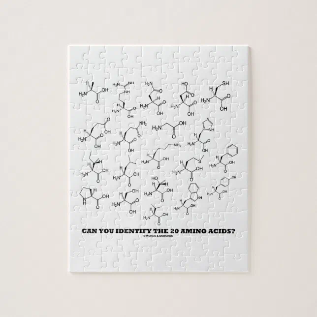 Can You Identify The 20 Amino Acids? (Chemistry) Jigsaw Puzzle | Zazzle