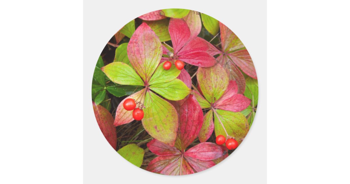 Canada, British Columbia, Mount Robson Classic Round Sticker | Zazzle