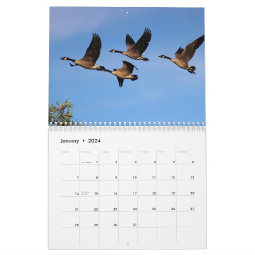 Canada Geese and Goslings Calendar | Zazzle