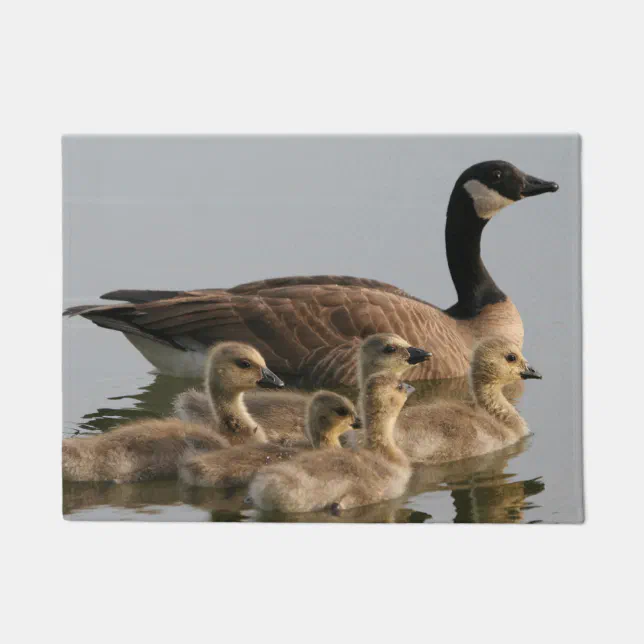 Canada Geese - Mother Goose and Baby Goslings Doormat | Zazzle