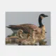 Canada Geese - Mother Goose and Baby Goslings Doormat | Zazzle