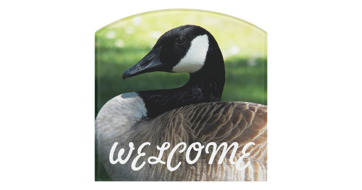 Canada Goose Wildlife Photo Welcome Door Sign | Zazzle