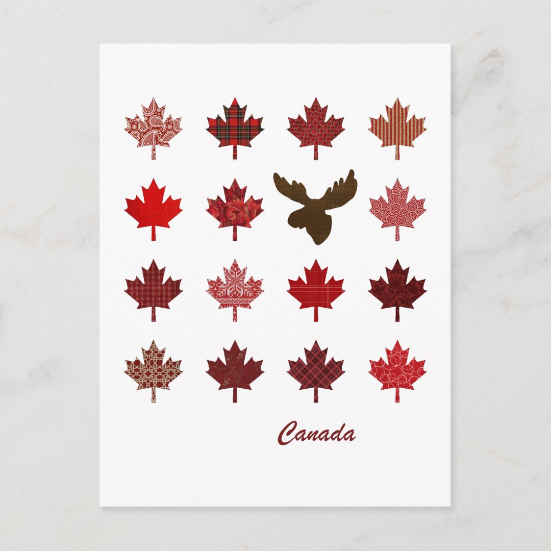 Canada Maple Leaf and Moose postcard | Zazzle