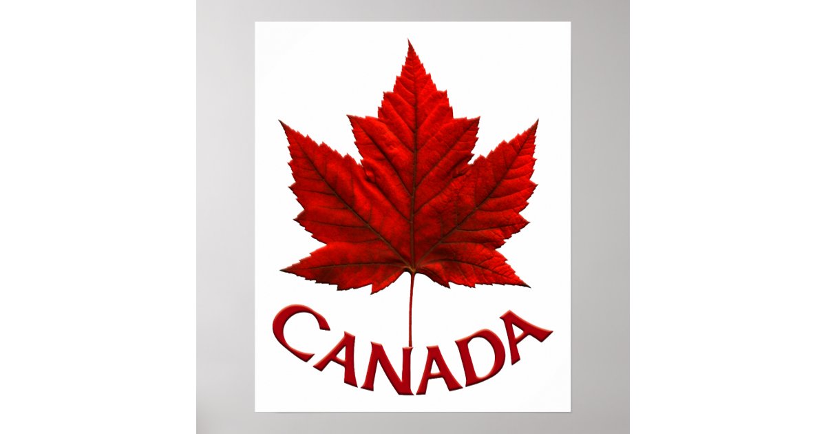 Canada Poster Canada Maple Leaf Souvenir Print | Zazzle