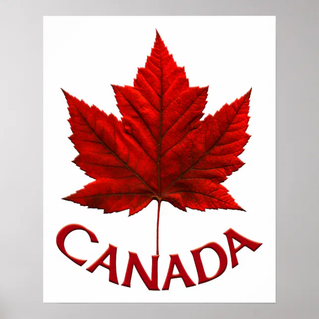 Canada Poster Canada Maple Leaf Souvenir Print | Zazzle