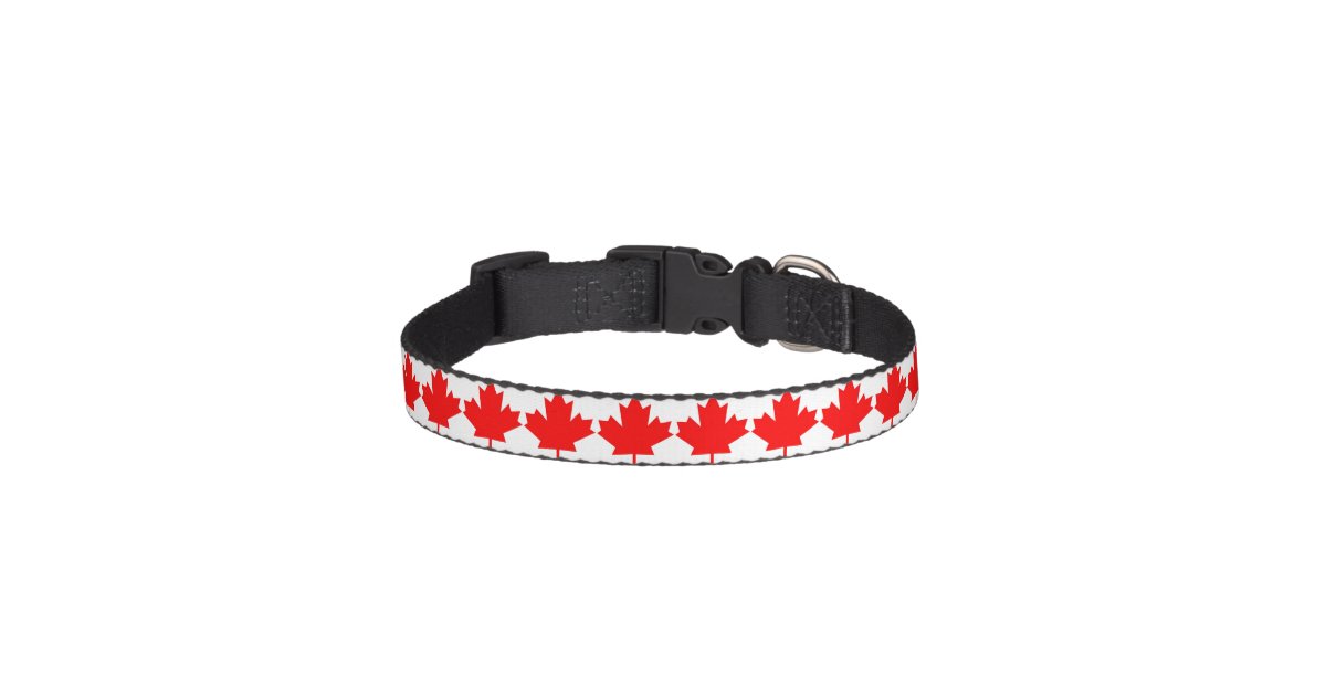 Canadian Collar | Zazzle