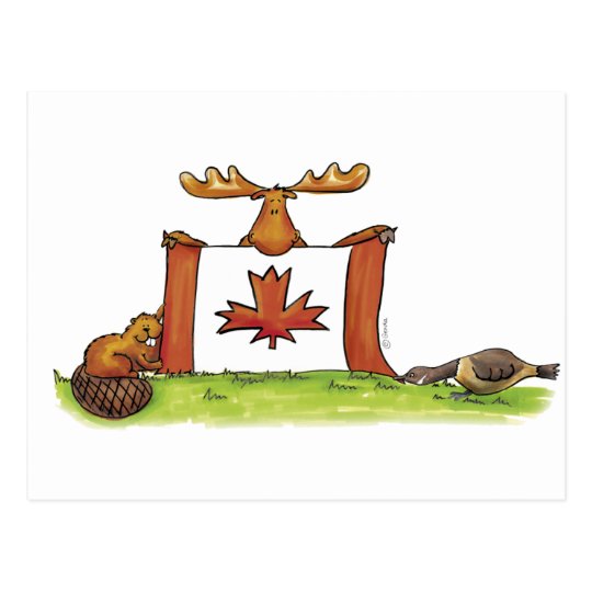 Canadian Flag with moose, beaver and goose Postcard | Zazzle.com