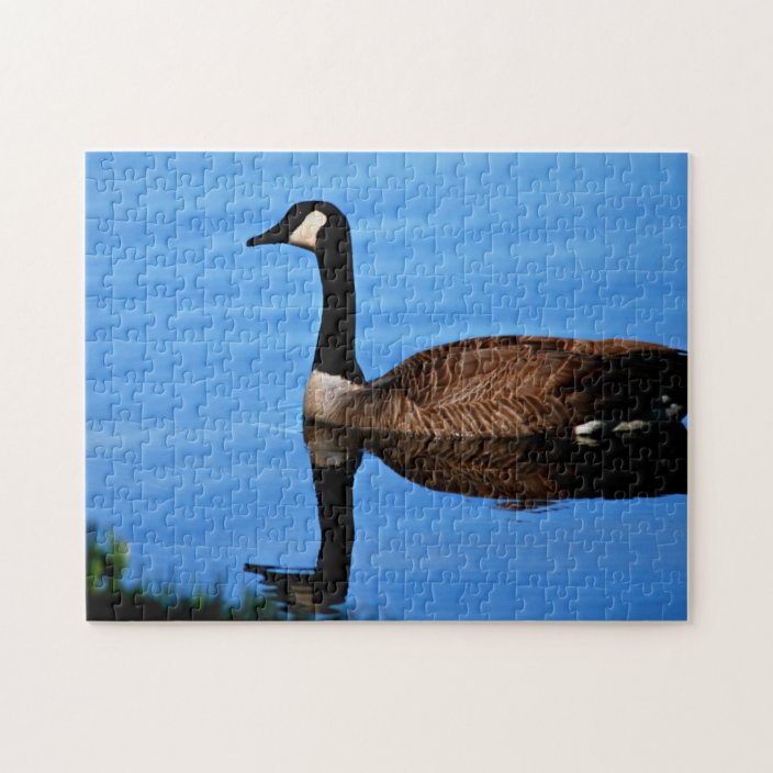Canadian Geese Photo Jigsaw Puzzle | Zazzle.com