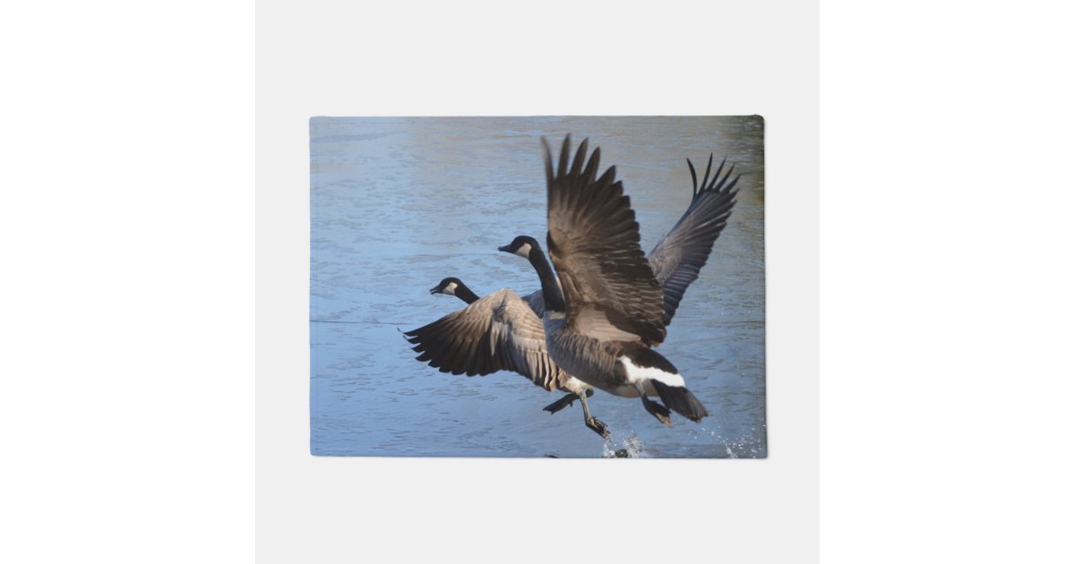 Canadian Geese Taking Flight Doormat | Zazzle