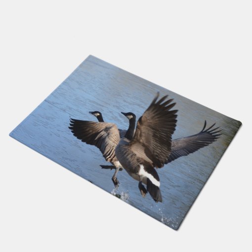 Canadian Geese Taking Flight Doormat | Zazzle